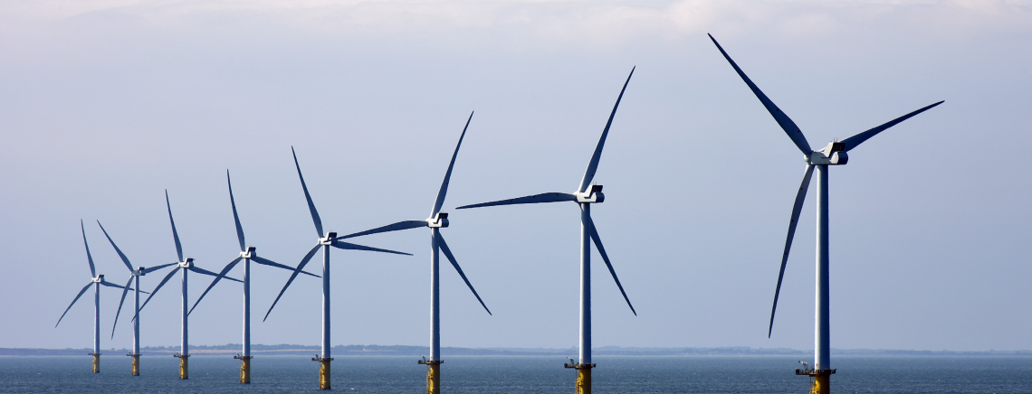 ScotWind rapid review | Crown Estate Scotland