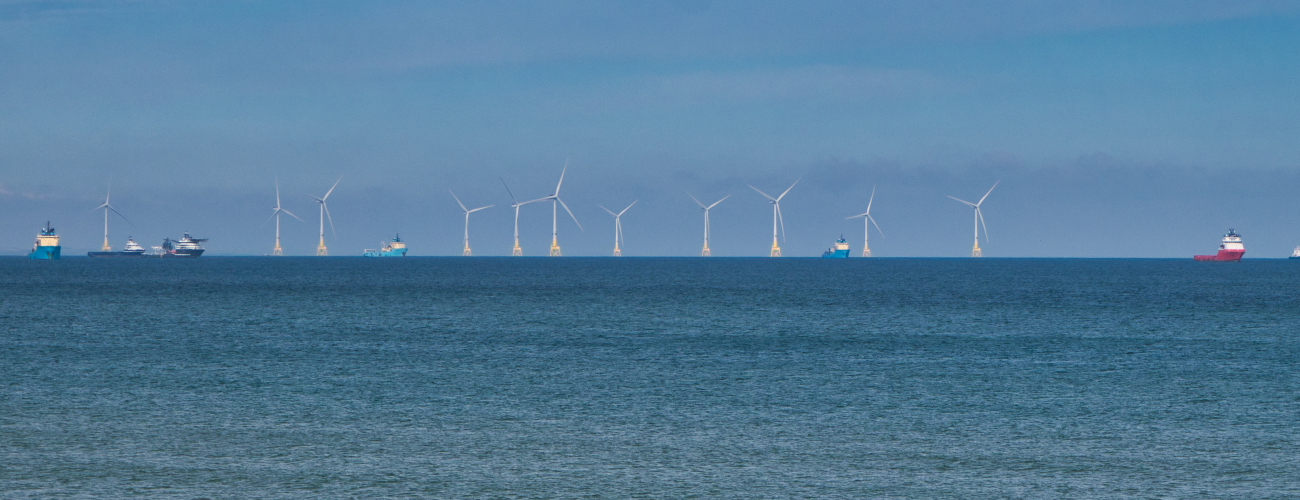 INTOG: 13 projects selected to support green innovation and help ...